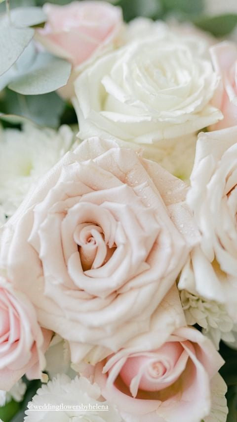 Wedding Floral Packages | Blooming Gorgeous Flowers and Gifts